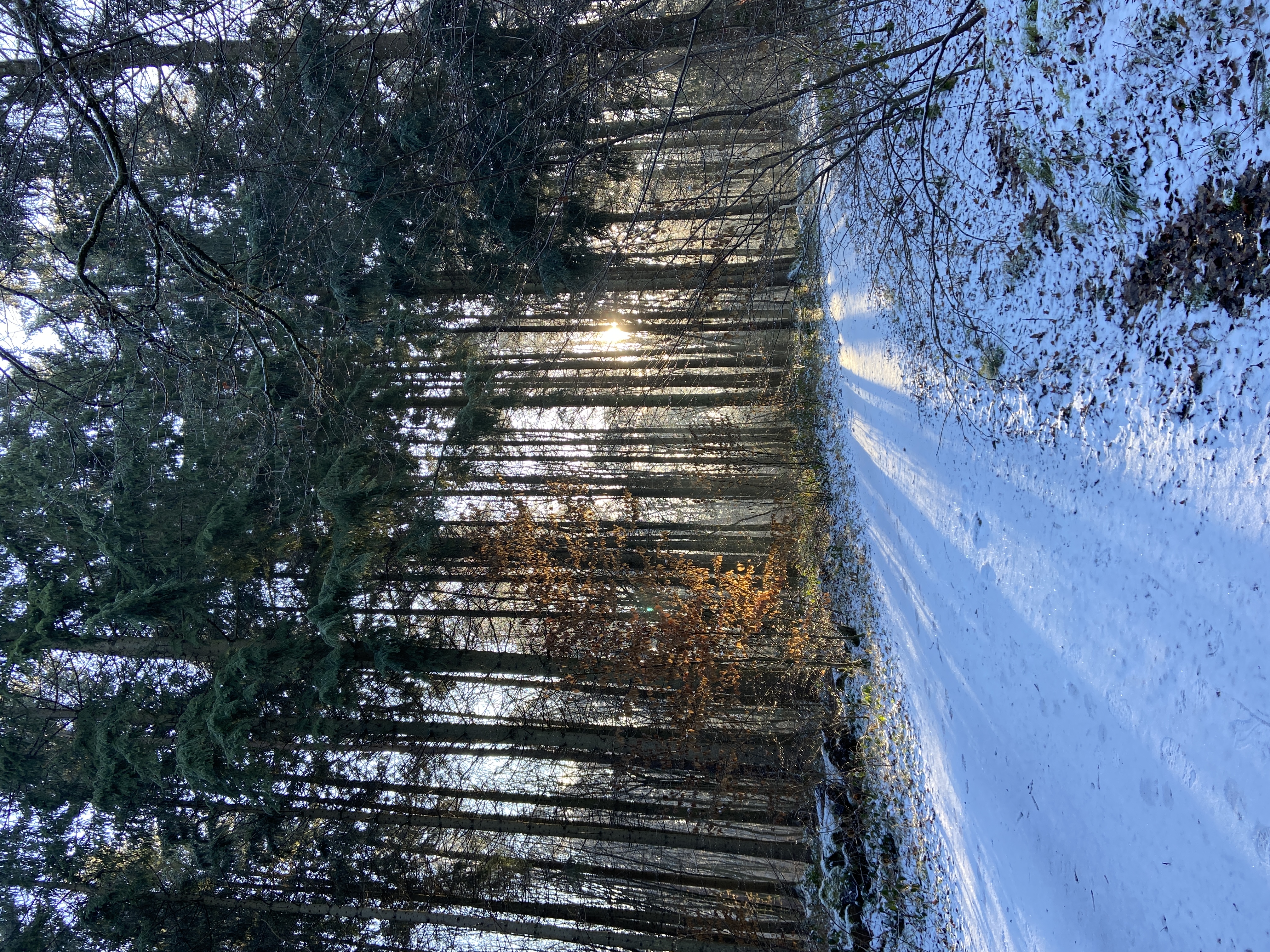 We wish you a relaxing time between Christmas and New Year. | HFT Stuttgart